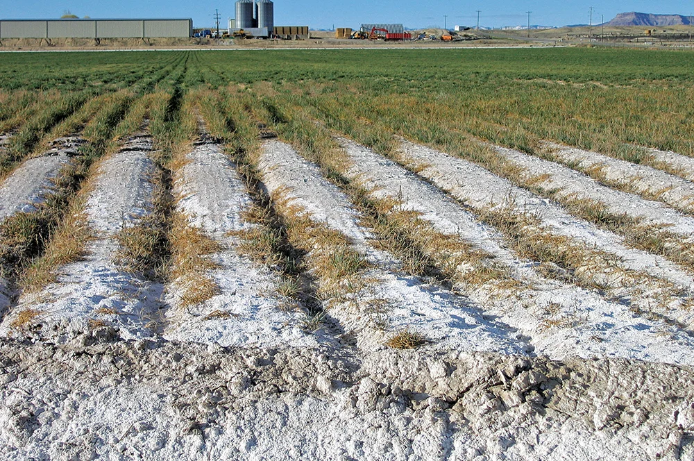 Soil Salinity Parks Rec Business Magazine PRB Soil Salinity Parks Rec Business Magazine PRB