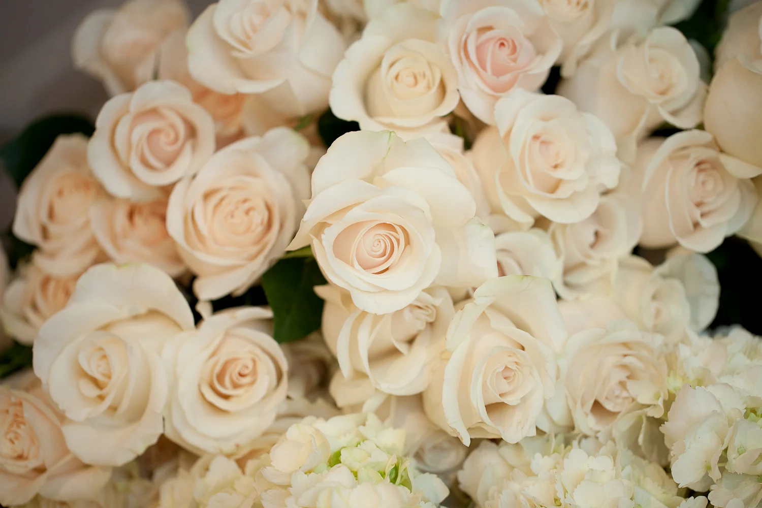 Weddings — Mary Kenealy Events