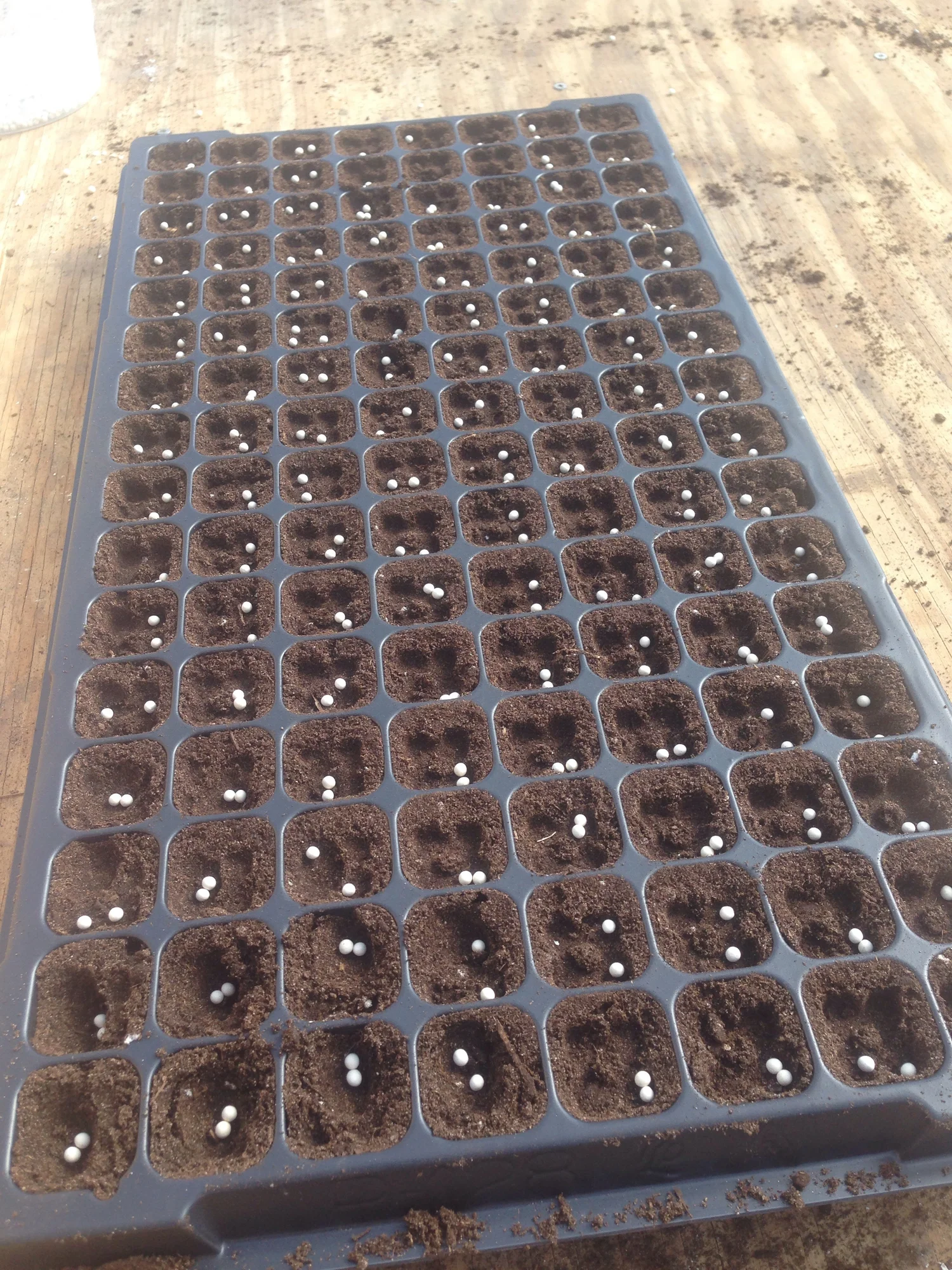 Vacuum flat seeder - a real time saver!