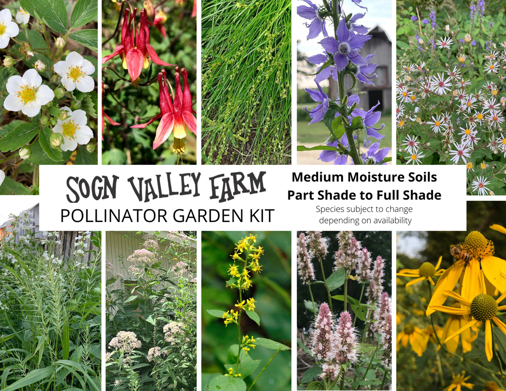 Native Plants and Pollinator Friendly Habitat - Sogn Valley Farm ...