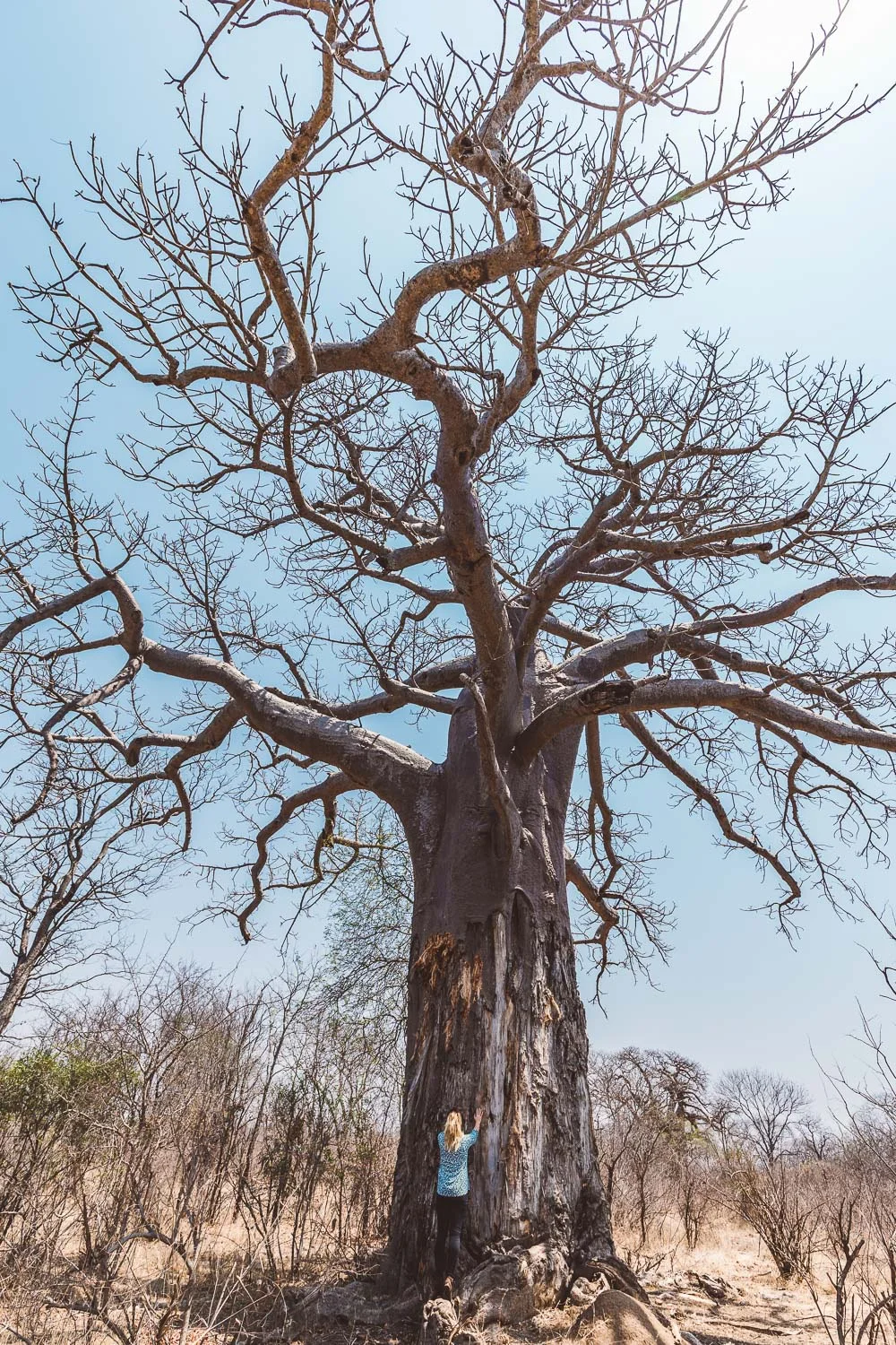 20 Photographs that will inspire you to visit the South African bush ...