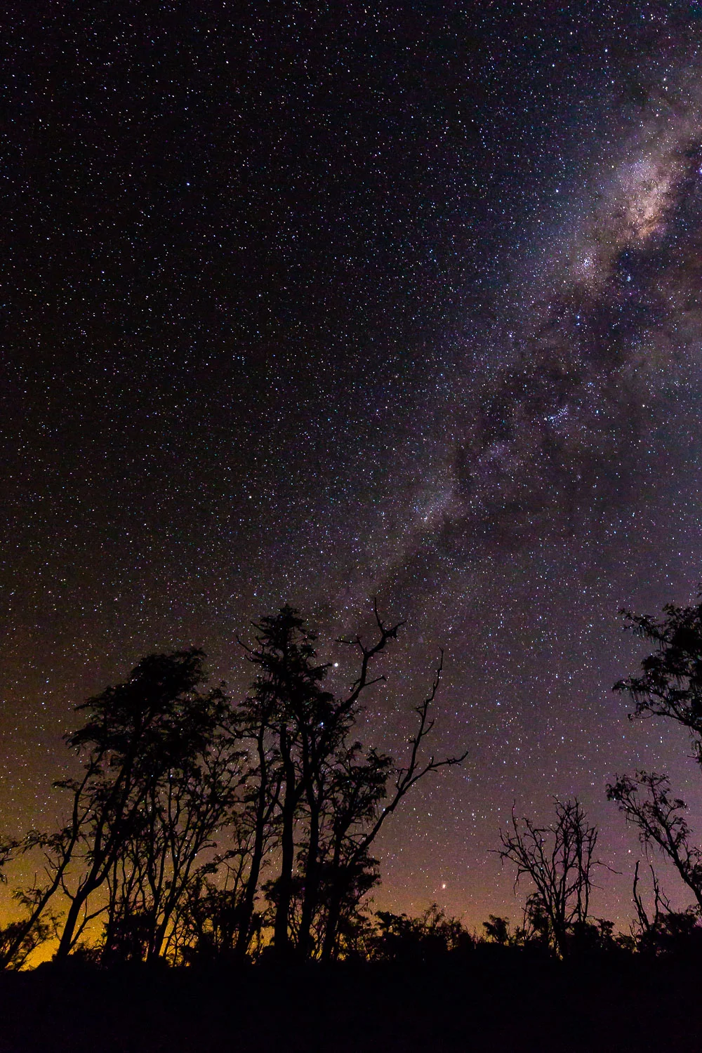 20 Photographs that will inspire you to visit the South African bush ...