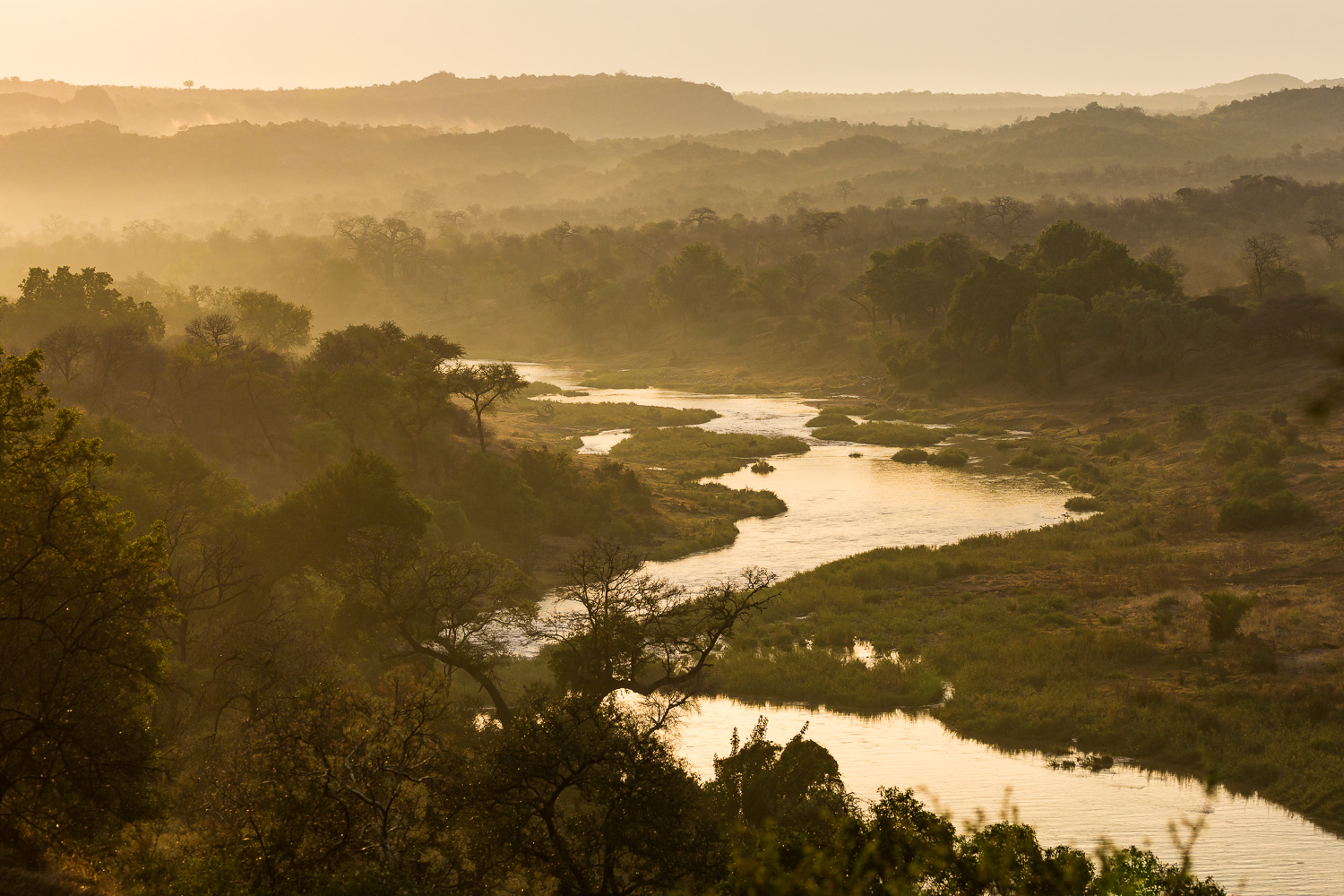 20 Photographs that will inspire you to visit the South African bush ...