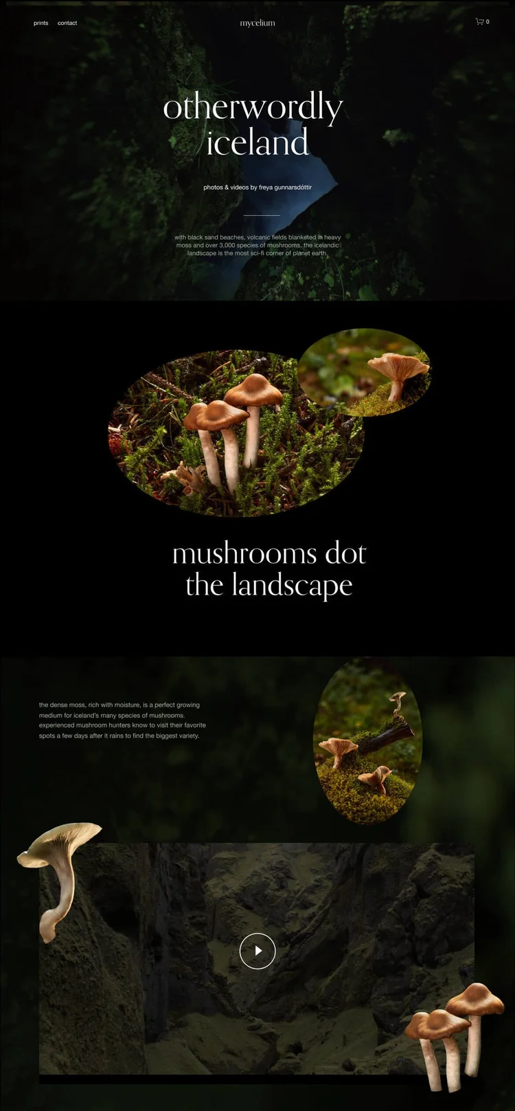 21 Best Squarespace Photography Themes for in 2025 - SQSPThemes