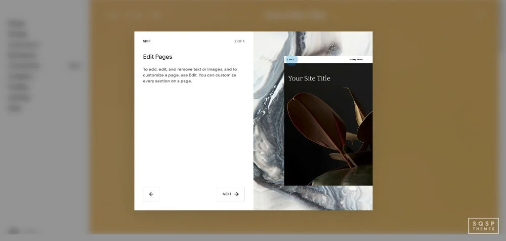 [Guide] The Step-by-Step Squarespace Setup Tutorial for Beginners - SQSPThemes
