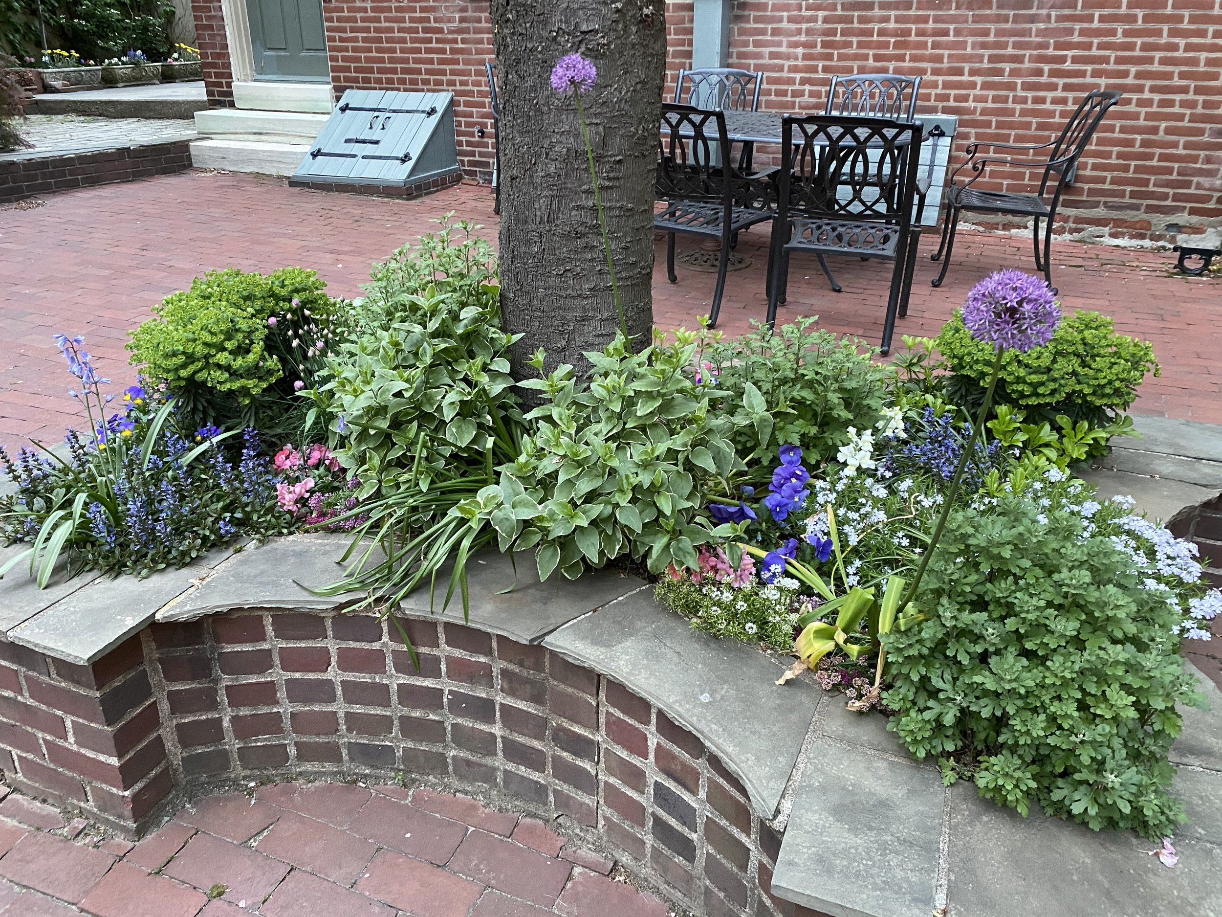 5 Loxley Court : The Secret Courtyard — Philly Home Girls