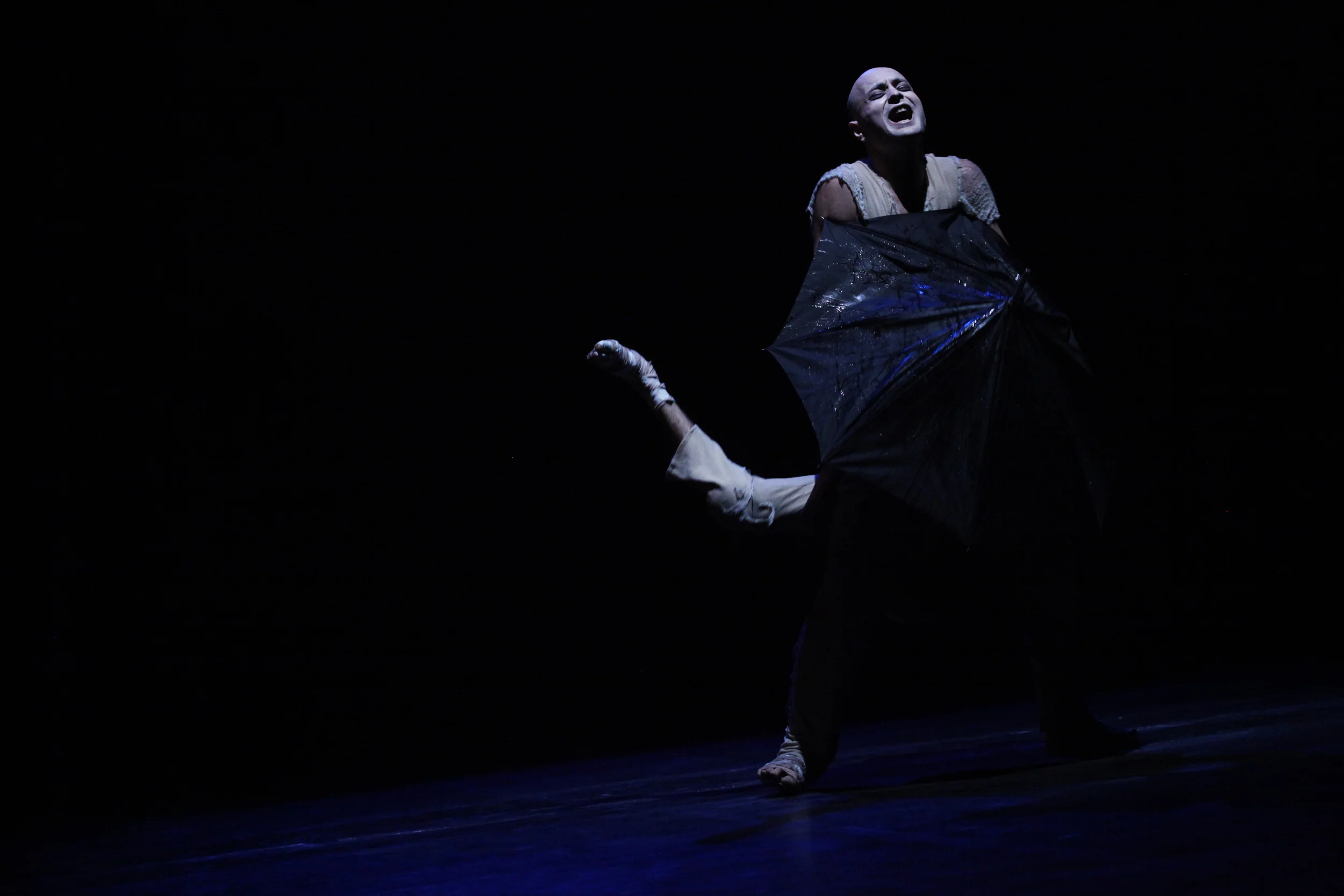 STRANGE CREATURES — Reza Behjat