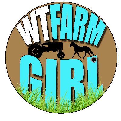 Farming on YouTube - with WTFarm Girl, Suzanne Cook — The Female Farmer ...