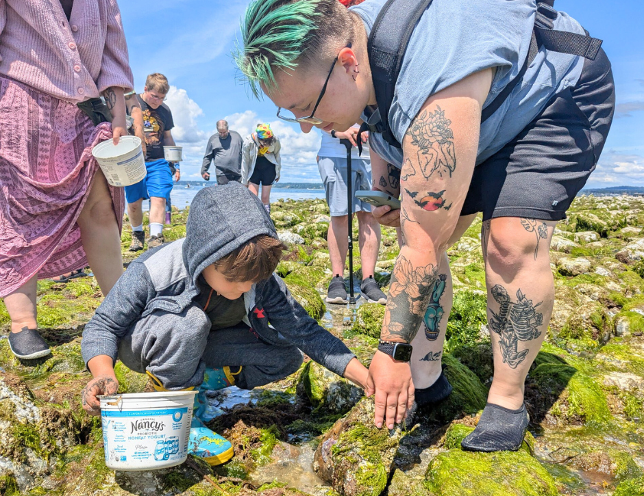 Out and About - Early Morning Pride at Low Tide Round 2 — Wild Whatcom