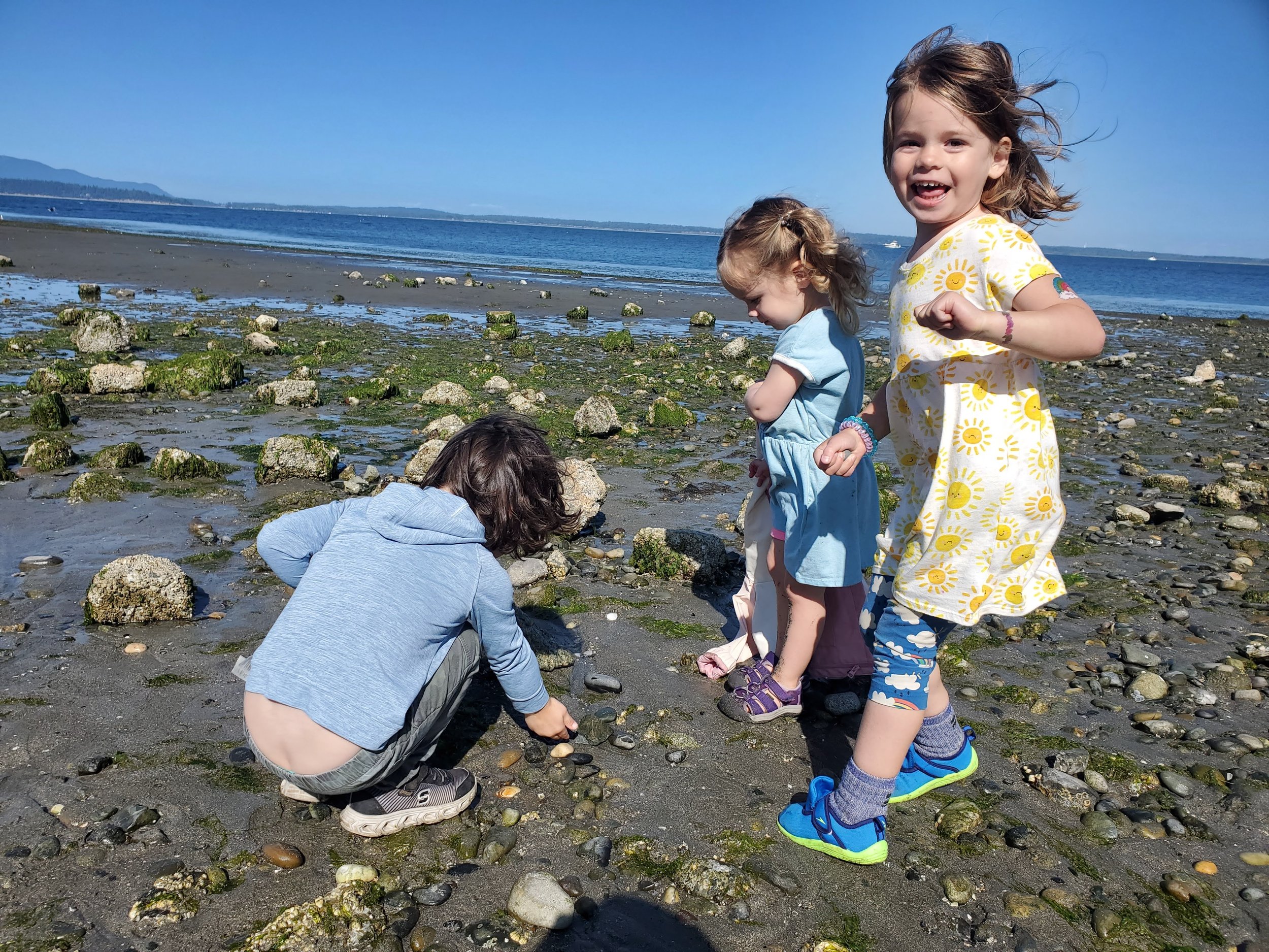 Preschool Summer Camps — Wild Whatcom