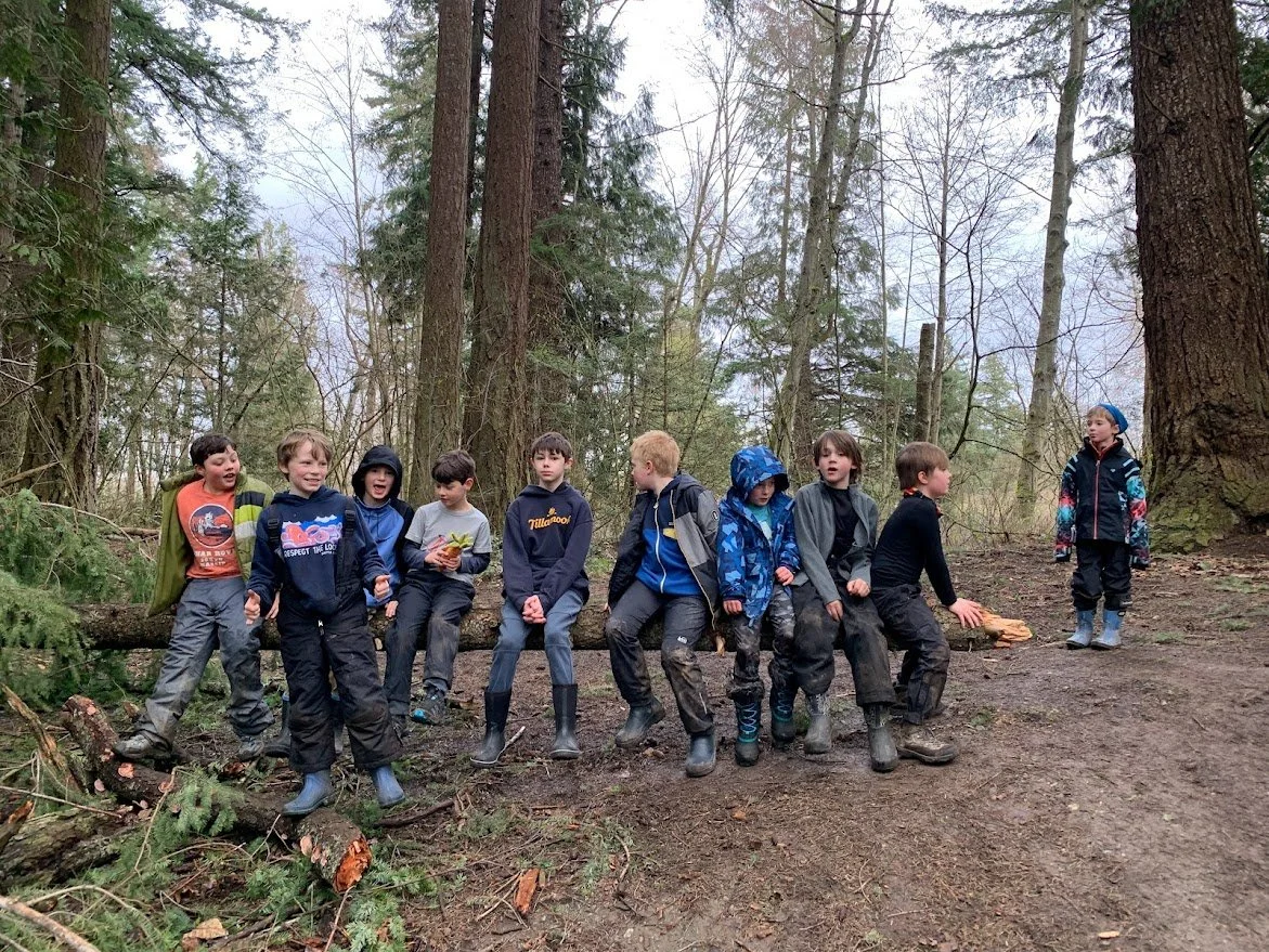Beach Carrots — Wild Whatcom