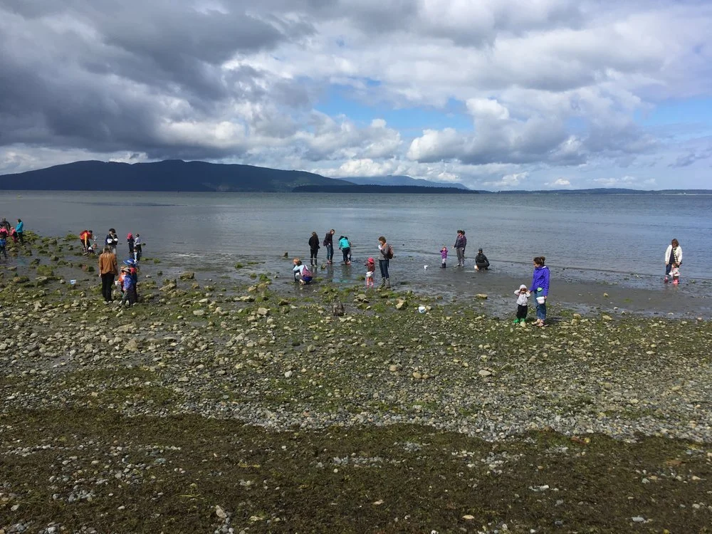 Join An Outing — Wild Whatcom