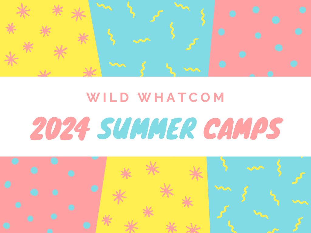 Blog — Wild Whatcom