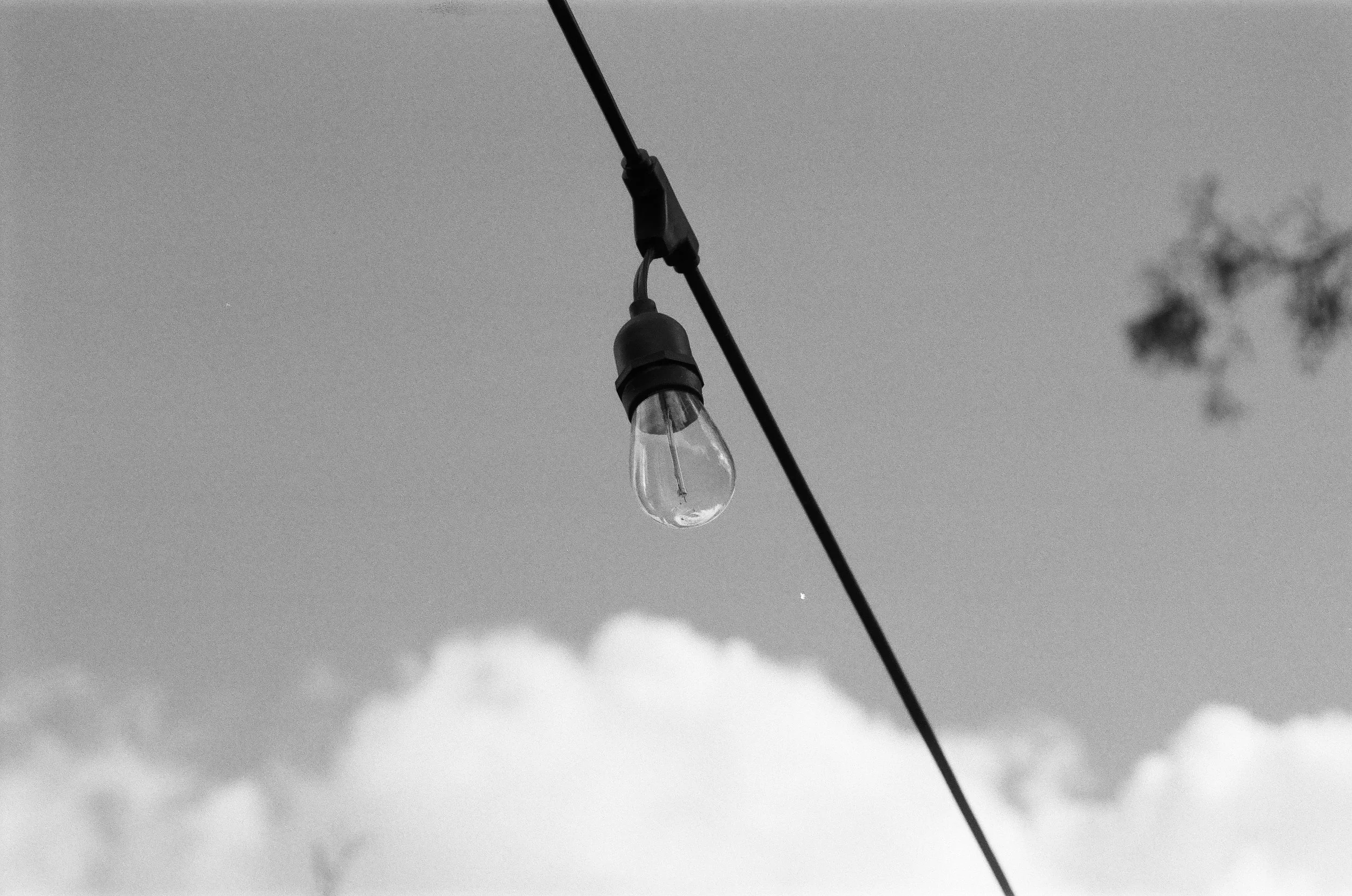 Awesome and Affordable: The Nikon N8008S — Blog