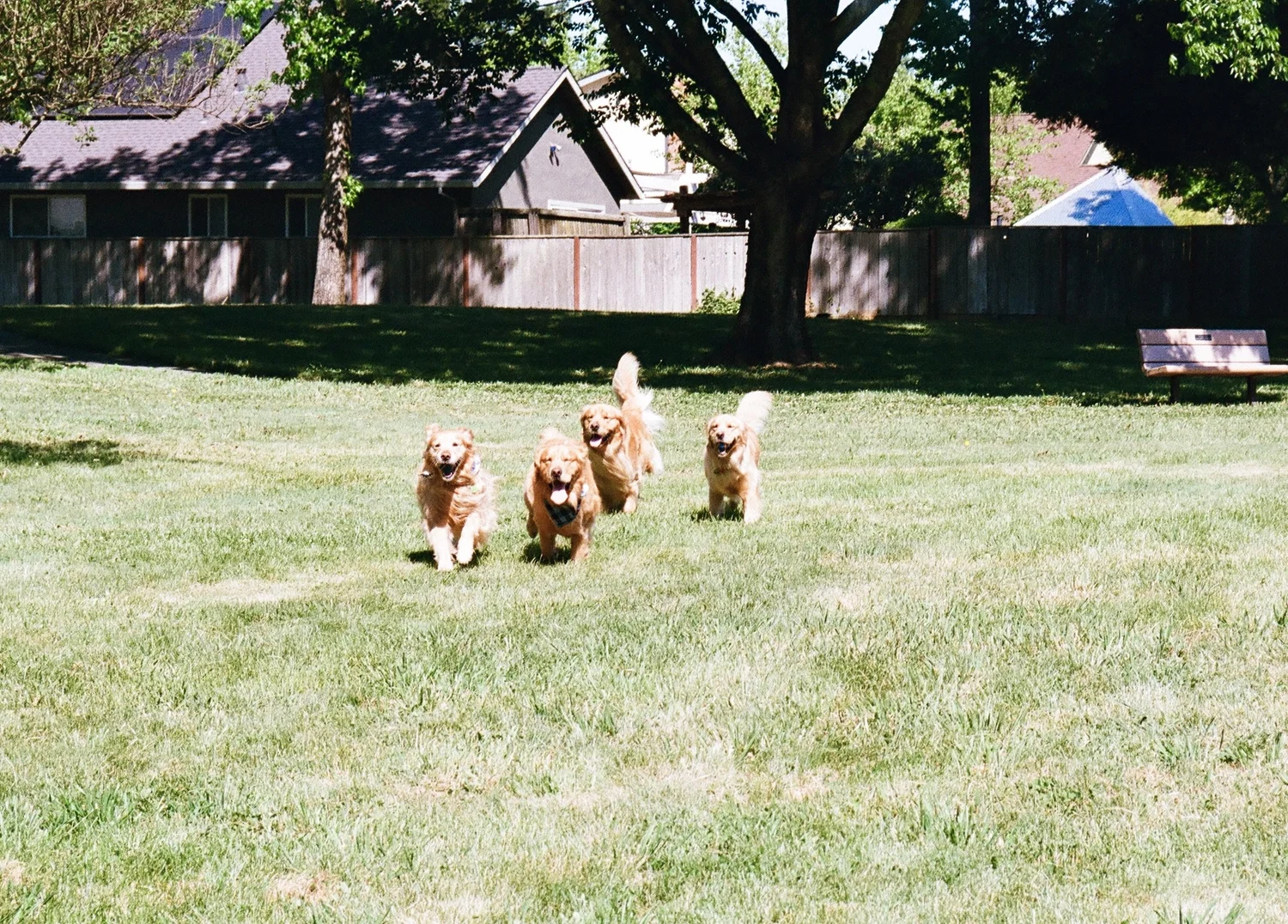 Awesome and Affordable: The Nikon N8008S — Blog