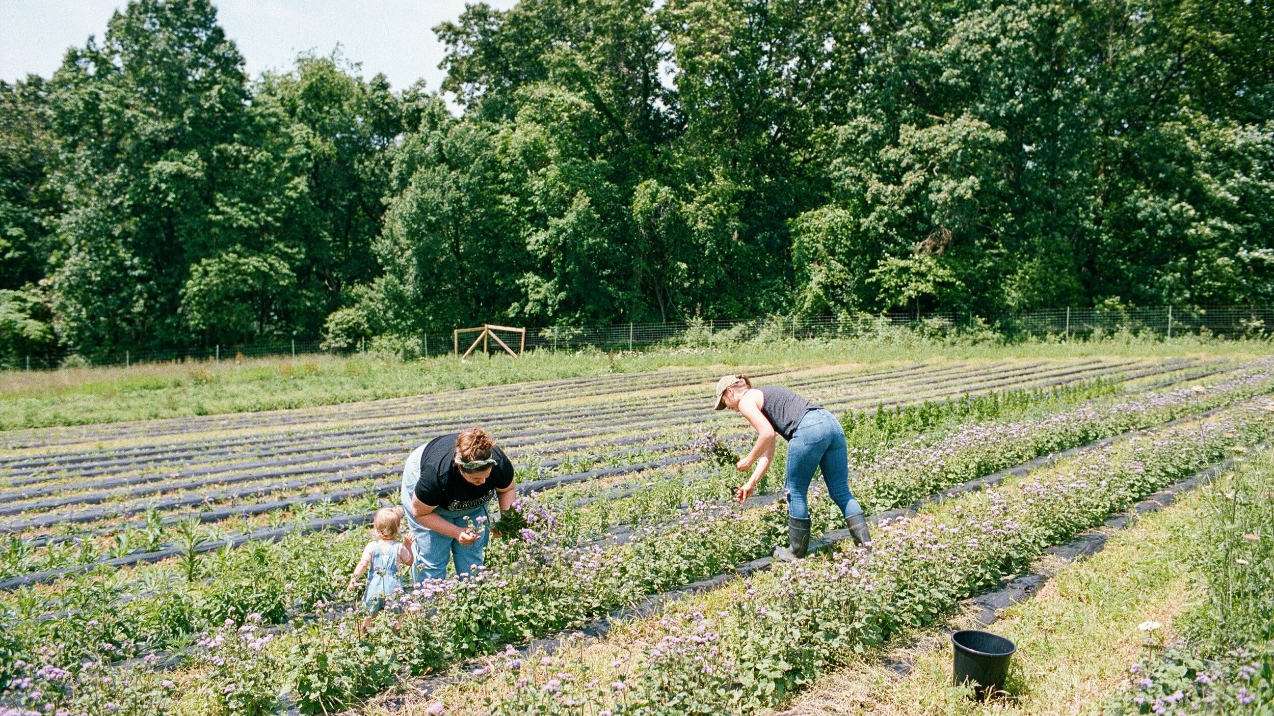 Minneapolis Brand Photographer