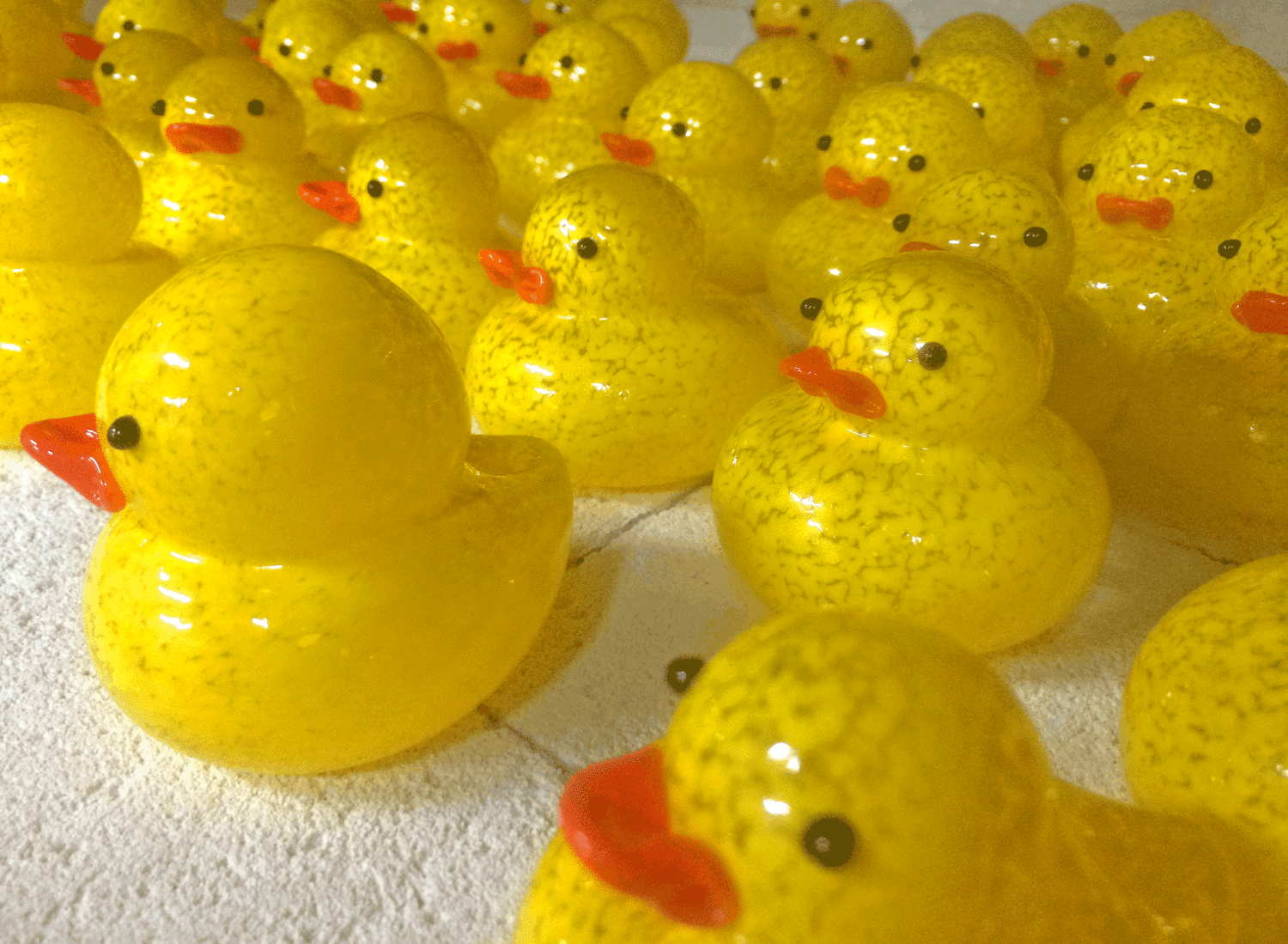 Duck Duck Glass