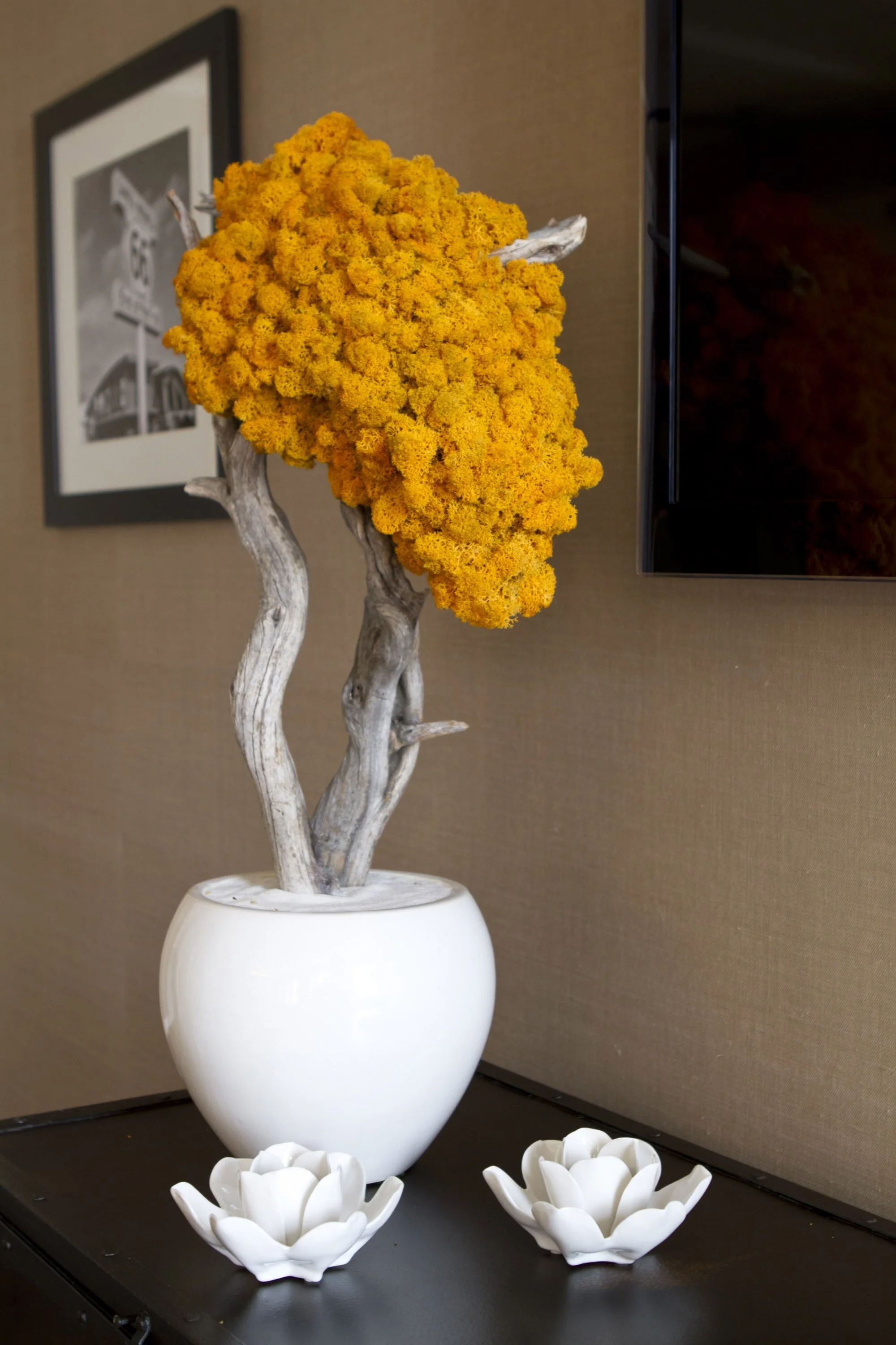 Hospitality — Little World Design