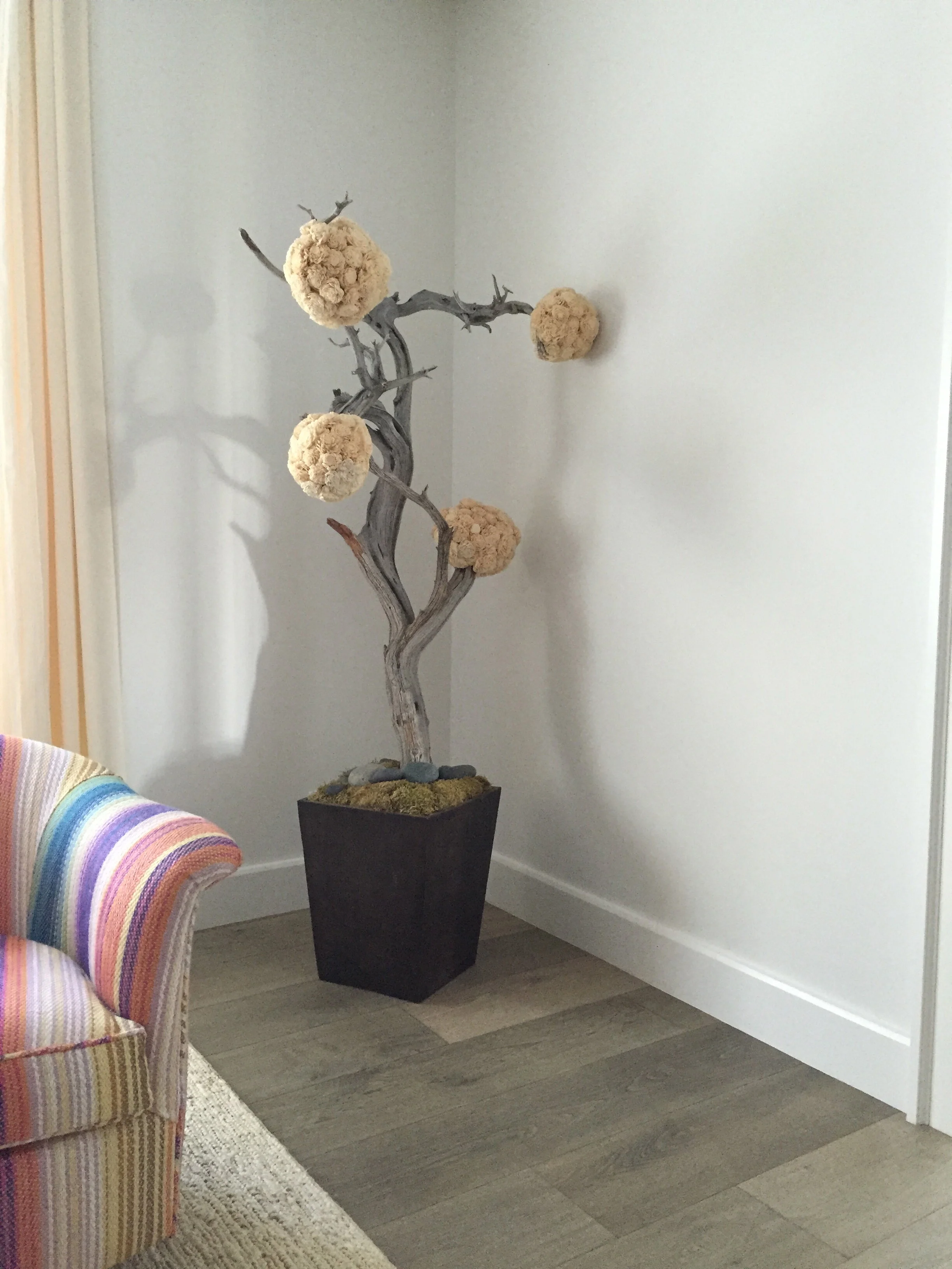 Residential — Little World Design