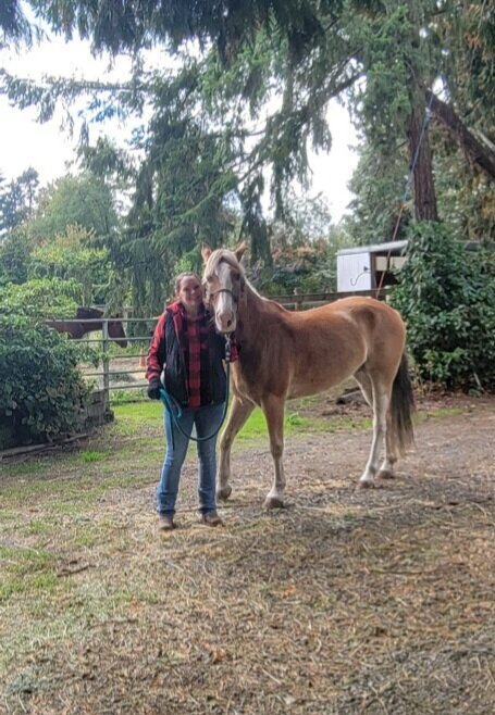 Veterinary Assistants | Oakhurst Equine Veterinary Services — Oakhurst ...