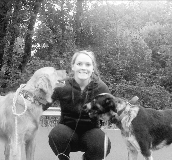 Veterinary Assistants | Oakhurst Equine Veterinary Services — Oakhurst ...