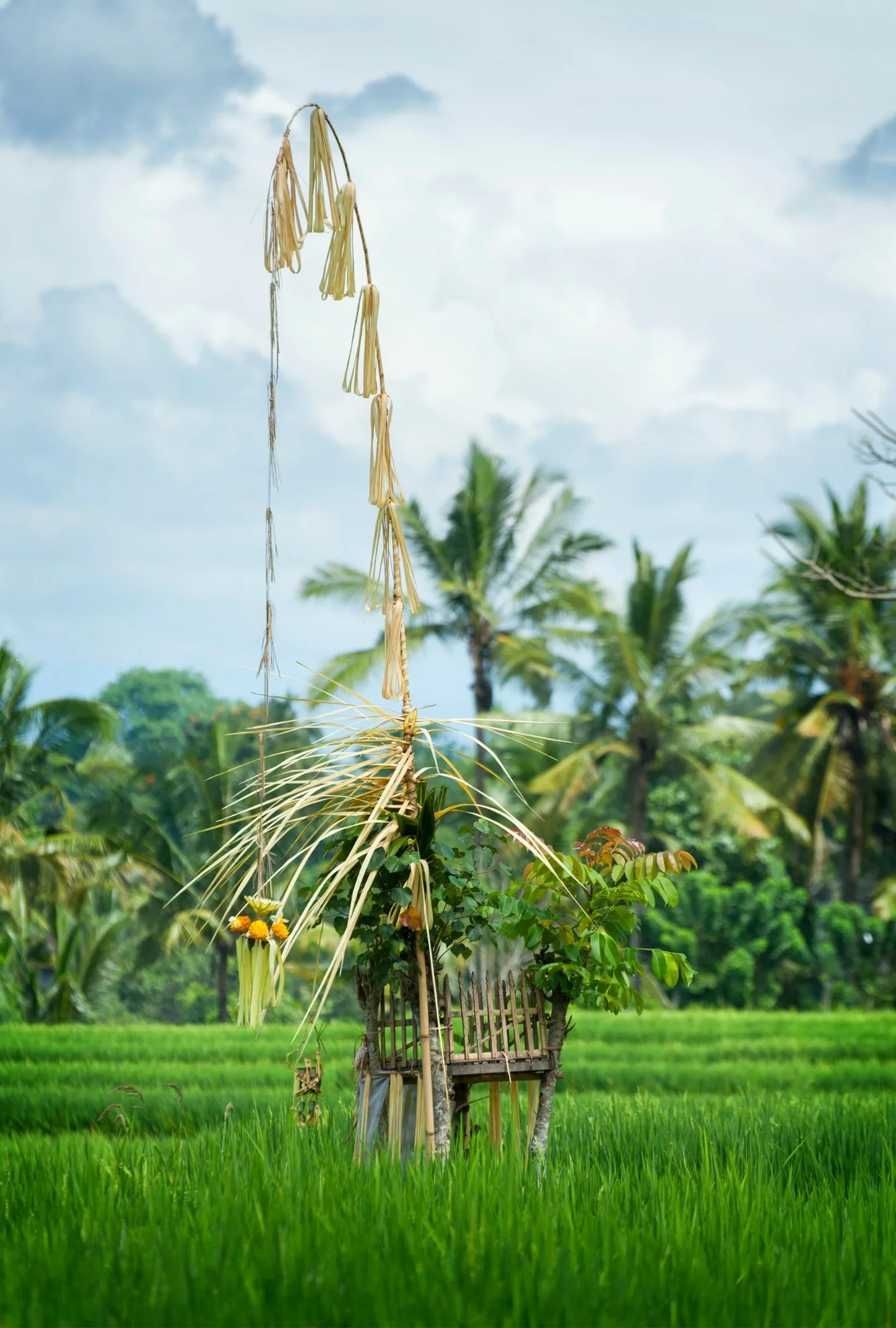 Unveiling the Symbolism and History of Penjor