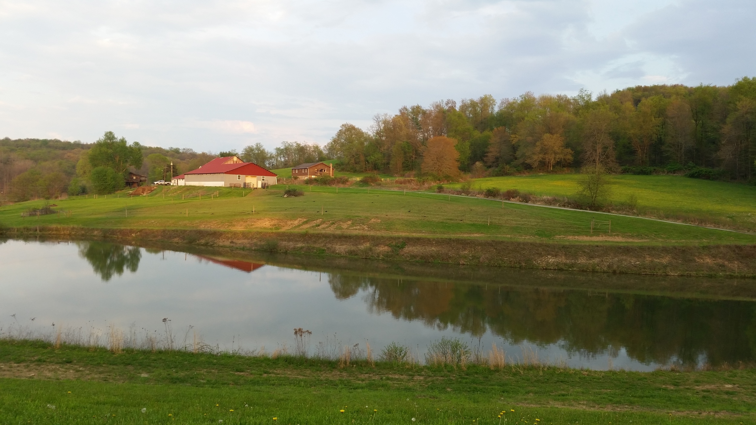 Contact — Ready Yourselves Youth Ranch