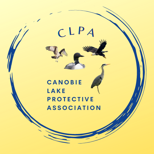 Partners — CLPA