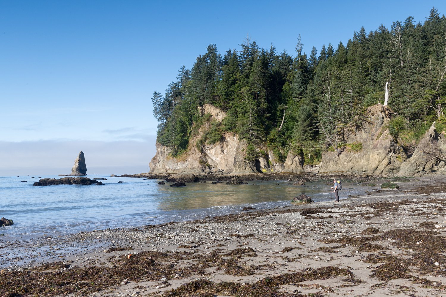 Backpack from Third Beach Trailhead to Toleak Point — Sonja Saxe
