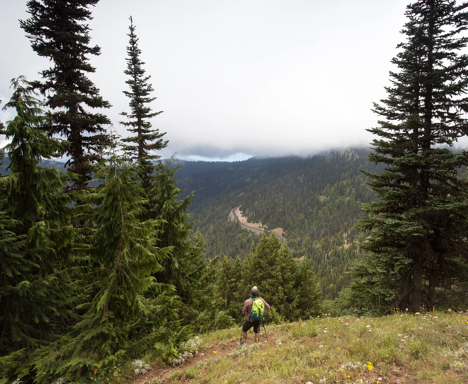 Hike to Klahhane Ridge from the Switchback Trail — Sonja Saxe