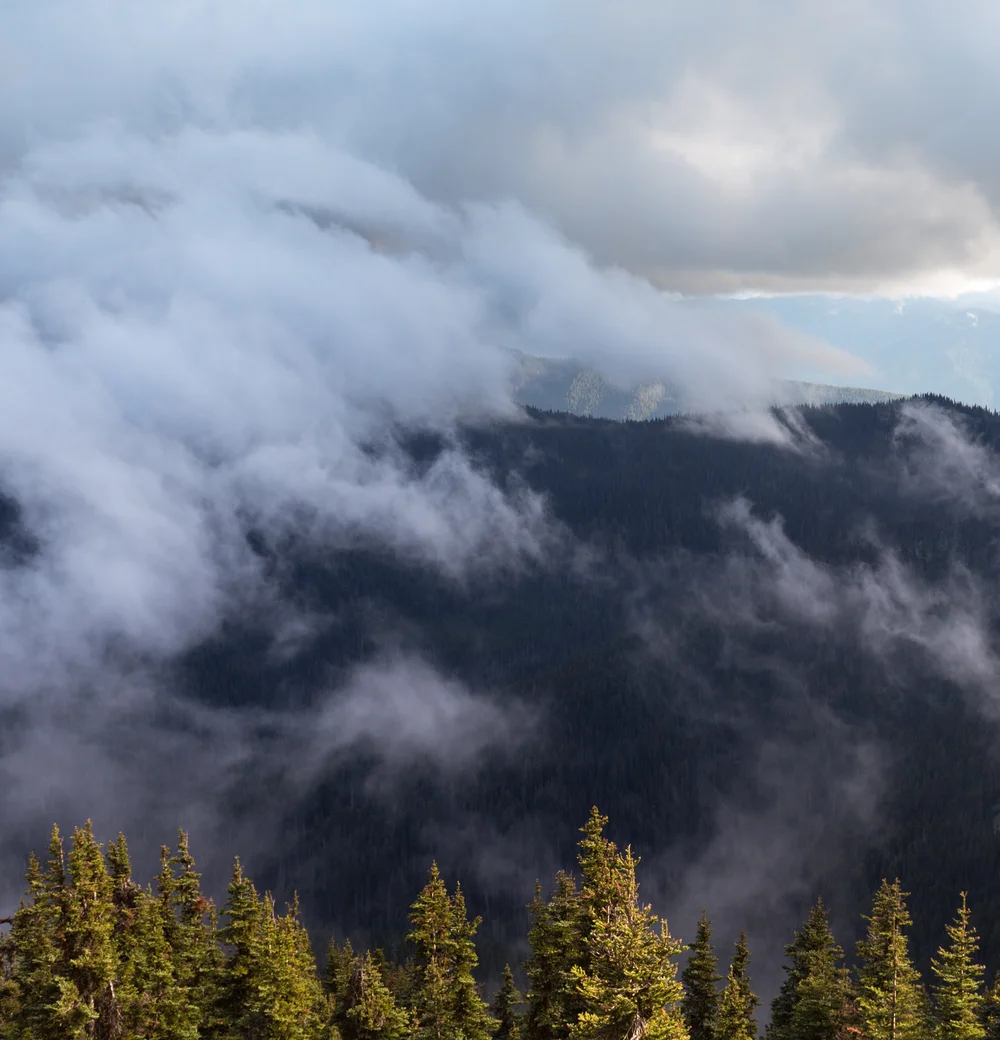 Hike to Klahhane Ridge from the Switchback Trail — Sonja Saxe