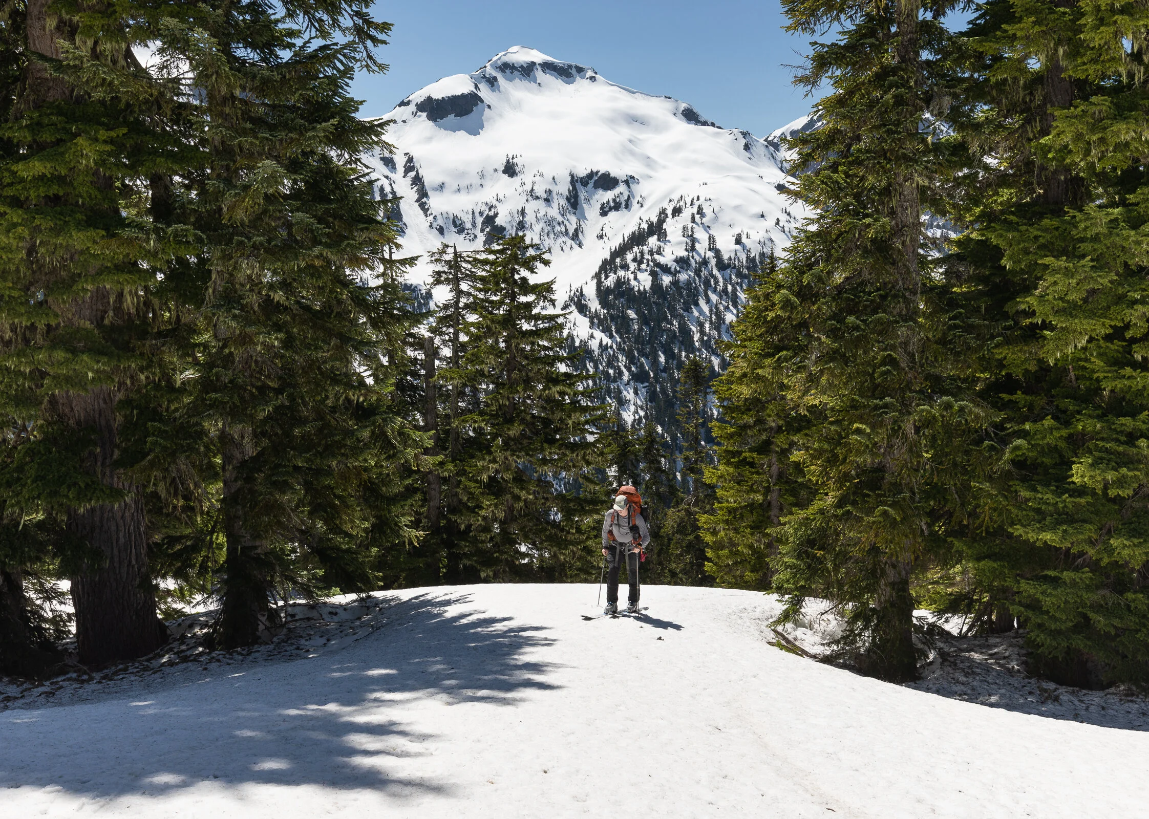 Skiing Ruth Mountain — Sonja Saxe