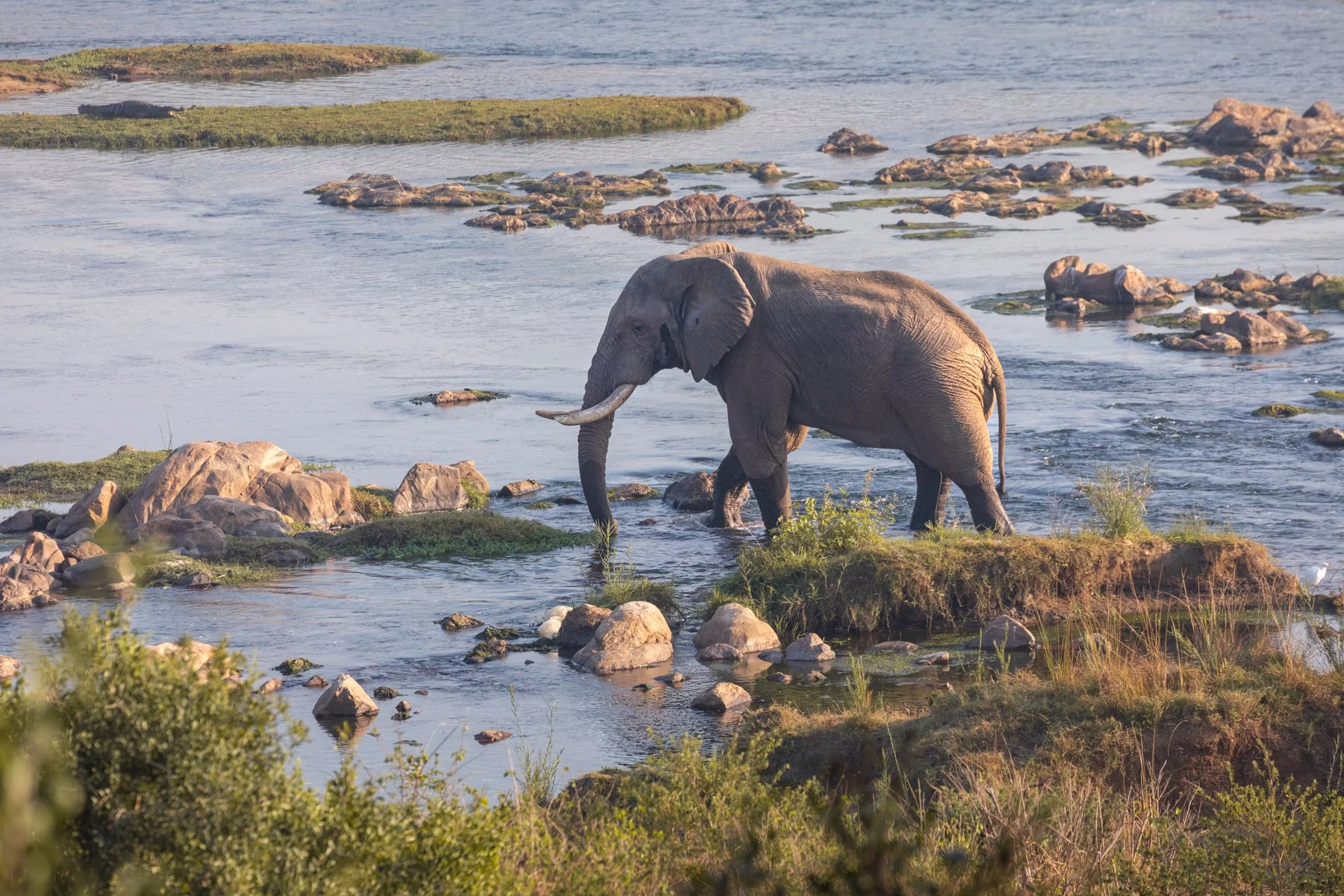 African Safari Landscapes