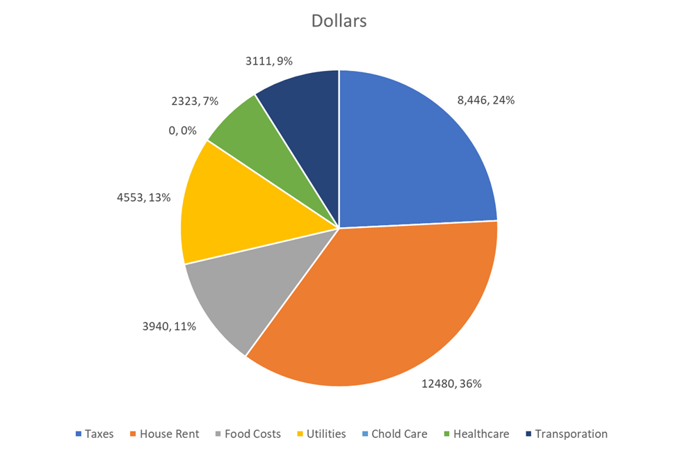 Step 5: Budgeting — Youthentity