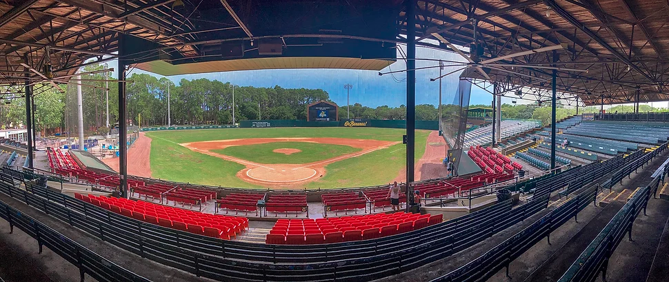 EPISODE 291: The Savannah Bananas - With Jesse Cole — Good Seats Still ...