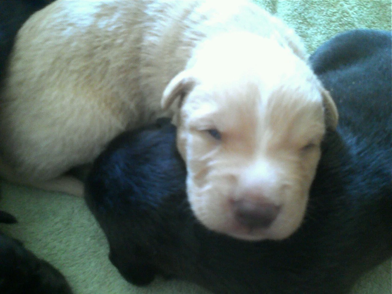 About Us | MediaSmith