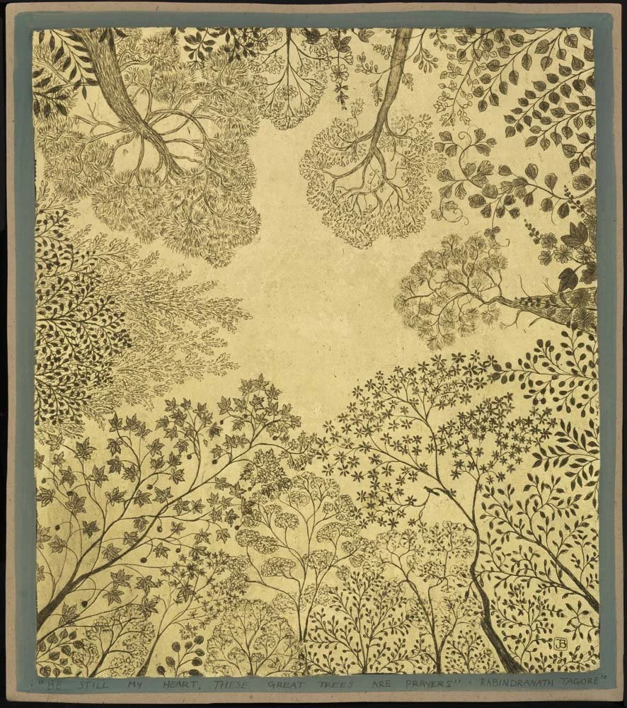 News — Jethro Buck