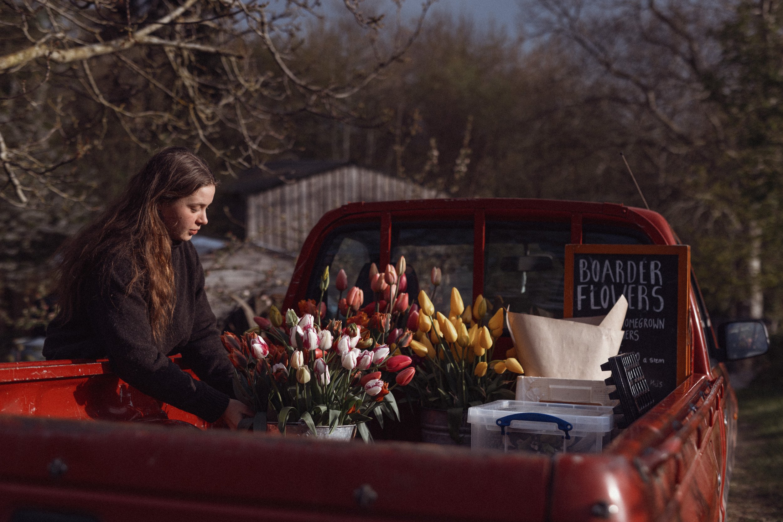 Boarder Flowers — Finn Beales