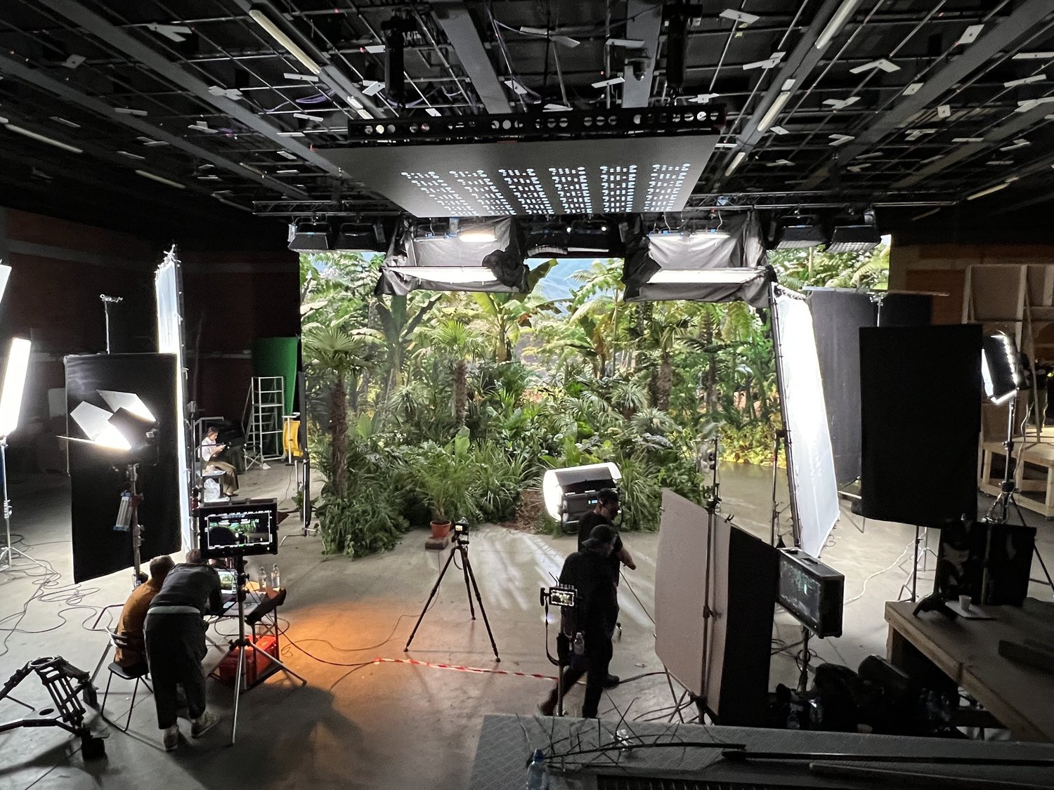 WHO IS CINEMATOGRAPHER DAVE TREE