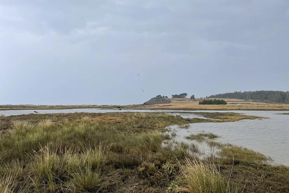 SERCAL 2026 Fieldtrips — California Society for Ecological Restoration