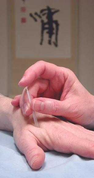 TCM Health Center / AAAOM Clinic — Acupuncture in Minneapolis/St. Paul