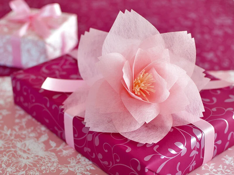 Gift wrapping during autumn — Shiho Masuda Gift Wrapping