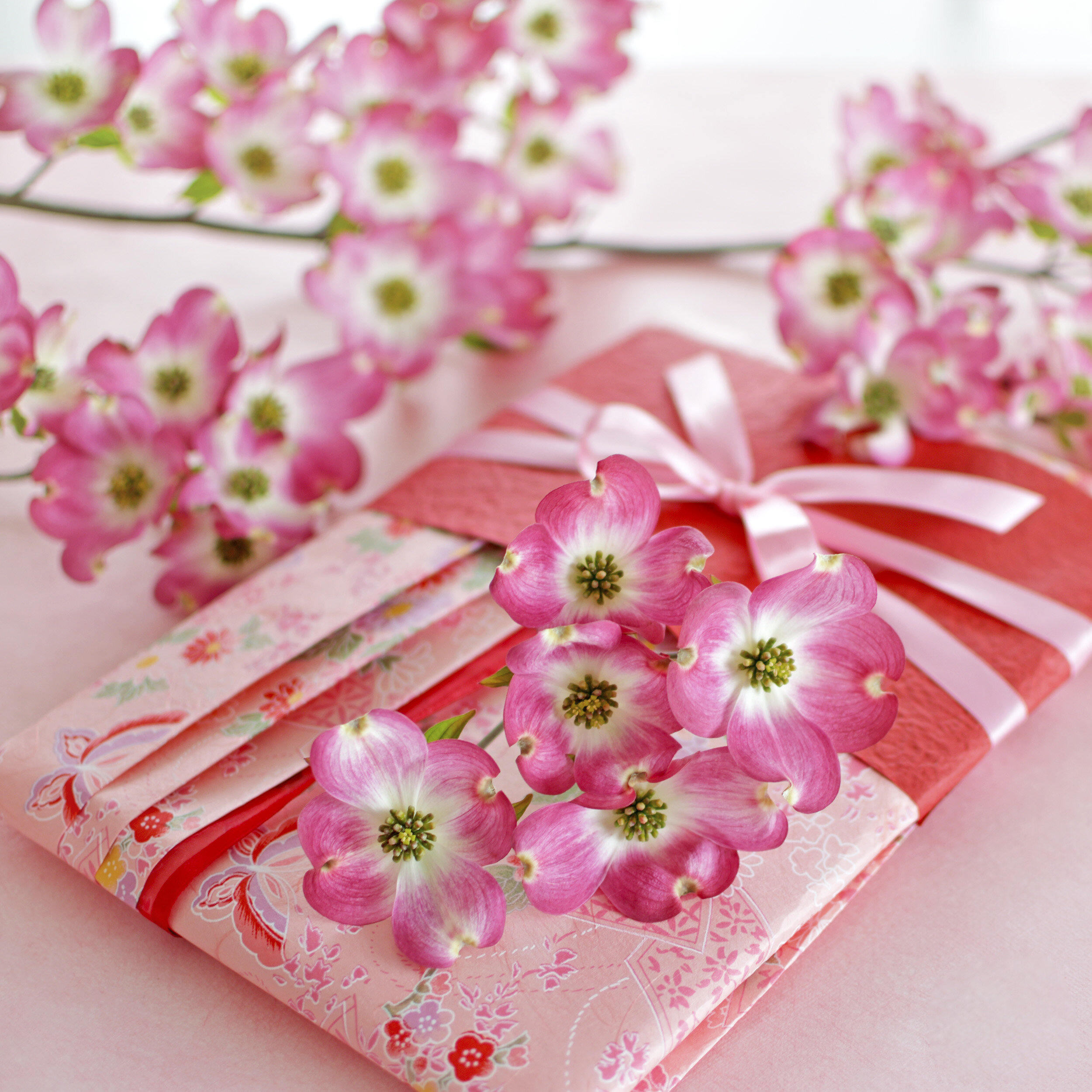 Gift wrapping in the press - El Mueble — Shiho Masuda Gift Wrapping
