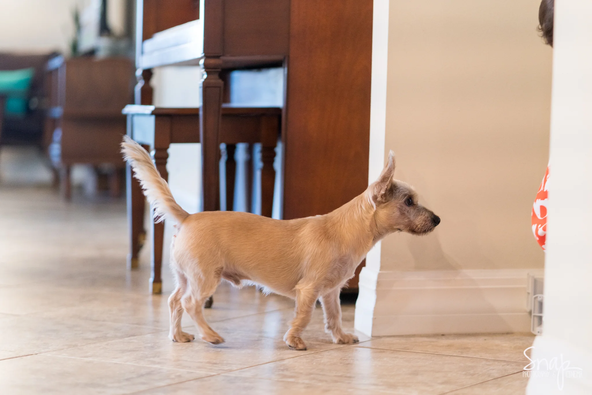 A day with Vidya {Lifestyle Session} — Snap Photography & Cinema