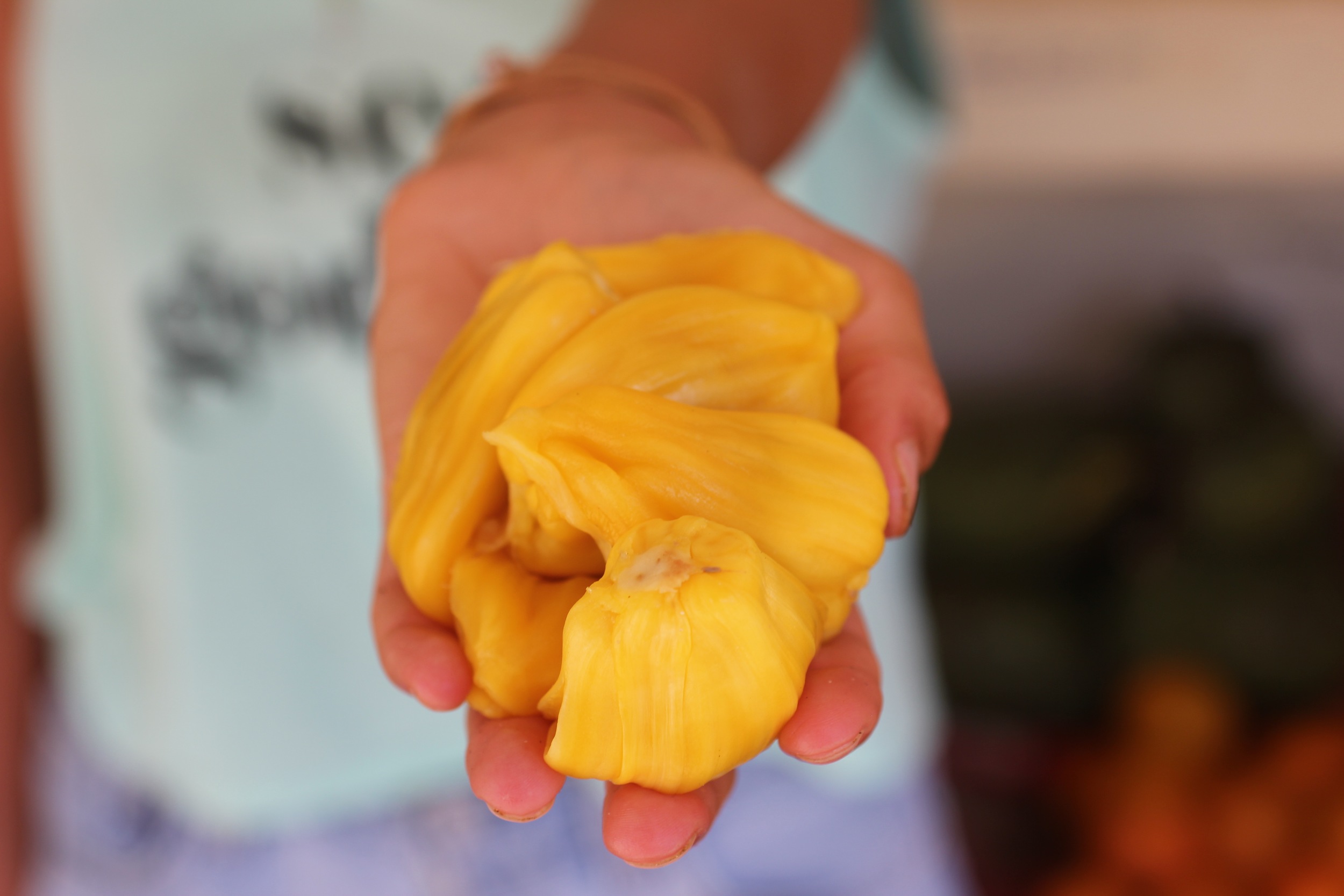 Where To Eat On NS, OAHU — earthyandy