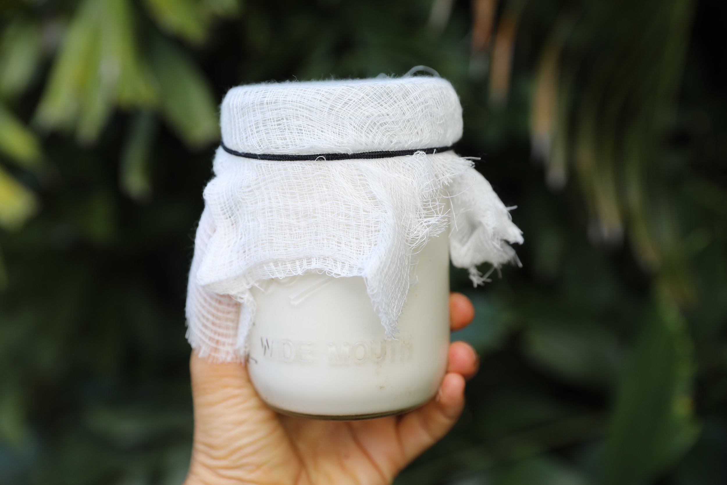 Plant based Snack Recipes — earthyandy