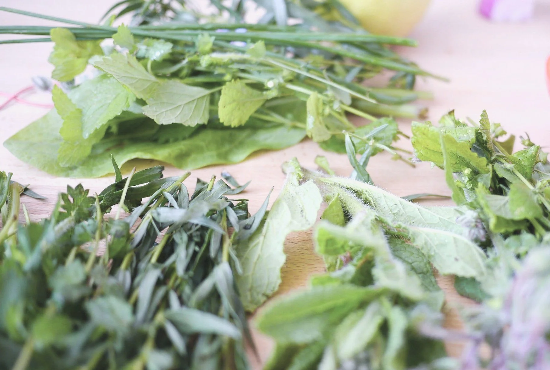 Miss Mango's Herb Appeal