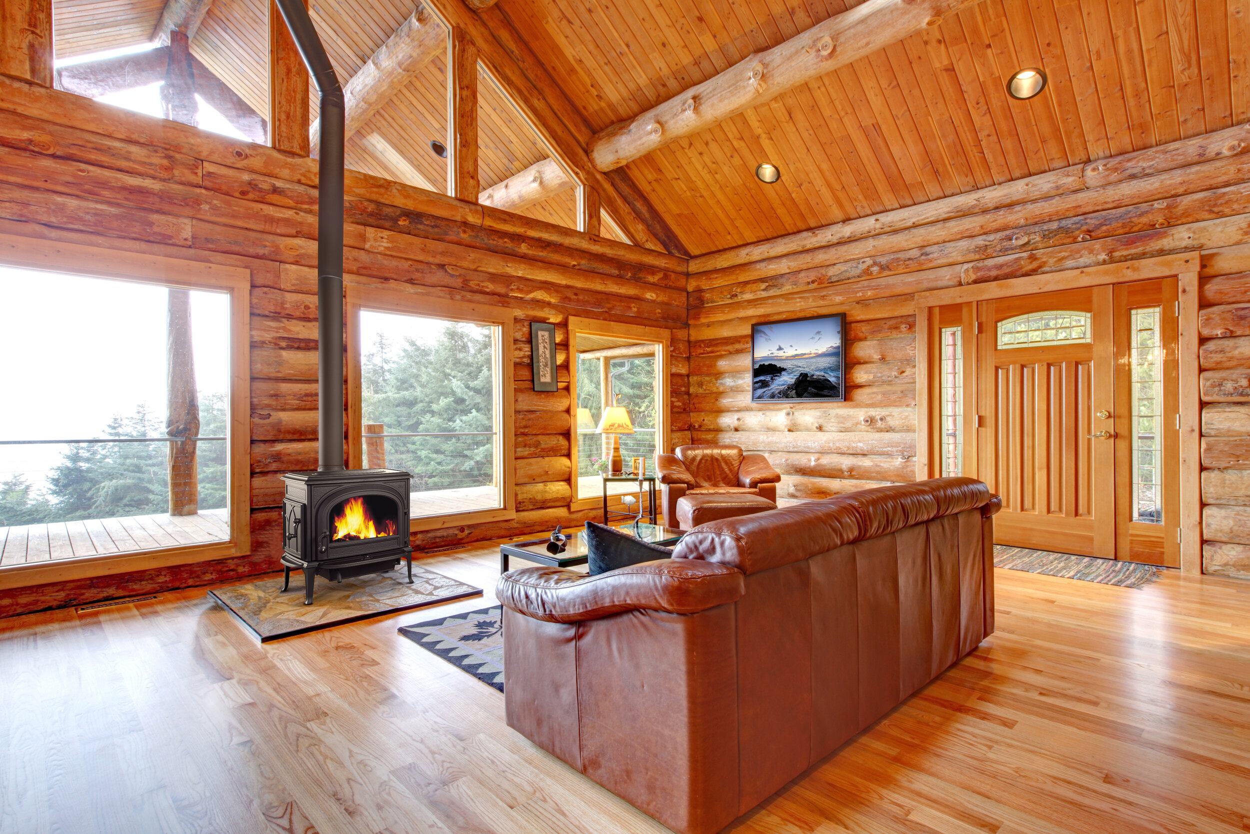 Wood Stoves — Wallace's Stove & Fireplace