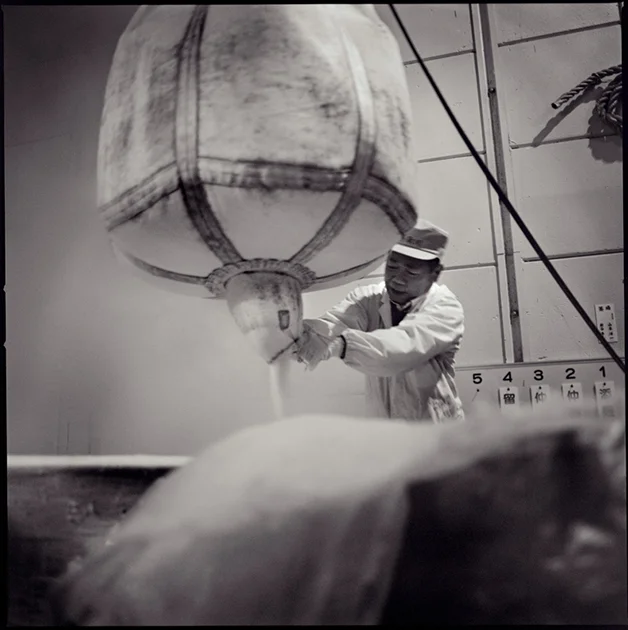 The Birth of Saké — Erik Shirai