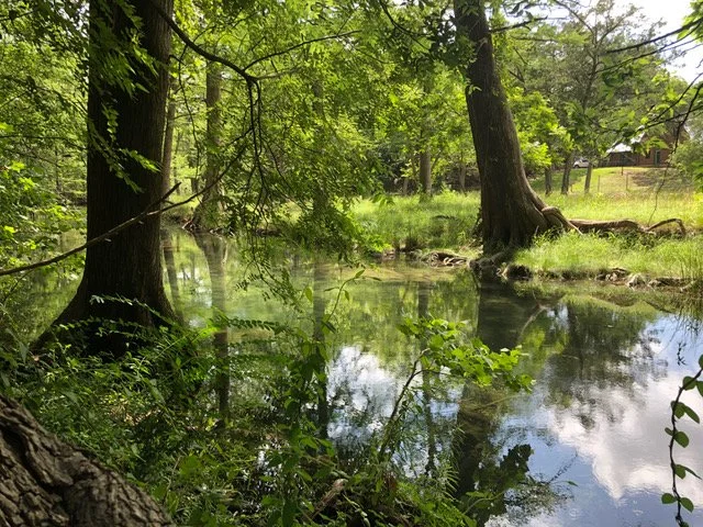 Tiffany Jane Challis